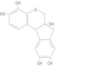 مقدمه‌ای بر رنگ‌های روتین و خاص در آزمایشگاه - مجله پل ایده‌آل پارس