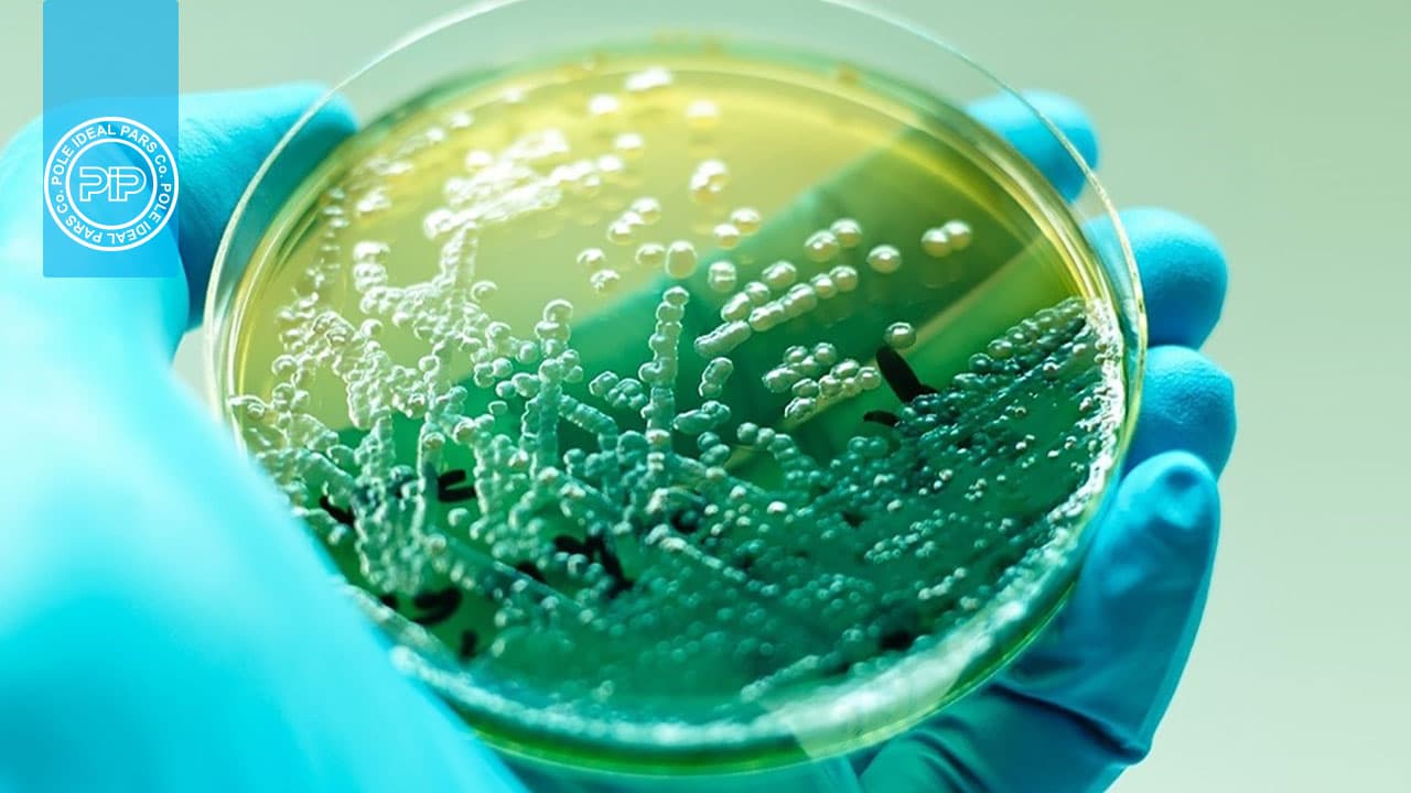ستریماید آگار ترکیبات ، آماده سازی و موارد استفاده مجله پل ایدهآل پارس