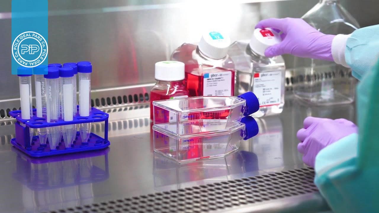 تست IMViC چیست؟ اصول، نمودار نتایج، مثال‌ها و موارد استفاده - مجله پل ...