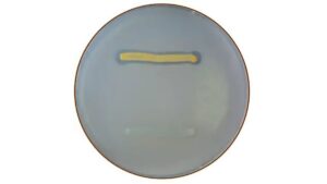 آزمایش هیدرولیز لیپید: اصول، روش، و نتیجه - مجله پل ایده‌آل پارس