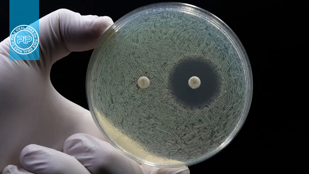 انواع تست حساسیت ضد میکروبی (AST) در آزمایشگاه - مجله پل ایده‌آل پارس