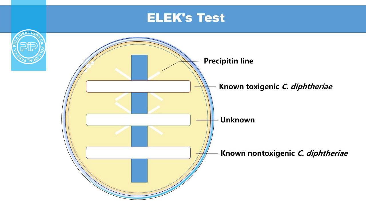آزمایش الک: آشنایی با کاربردها، روش و نتایج تست - مجله پل ایده‌آل پارس
